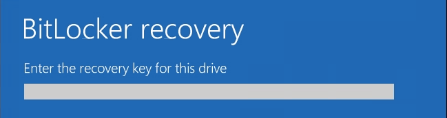 Computer won’t start after entering security ID - Microsoft Q&A