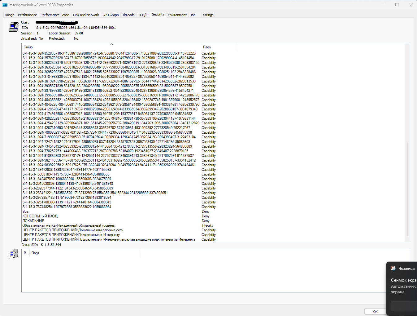 BUG Webwies2 search works outside of AppContainer - Microsoft Q&A