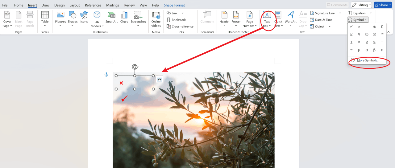 how do i put coloured symbols in a pic in word like in this pic ...