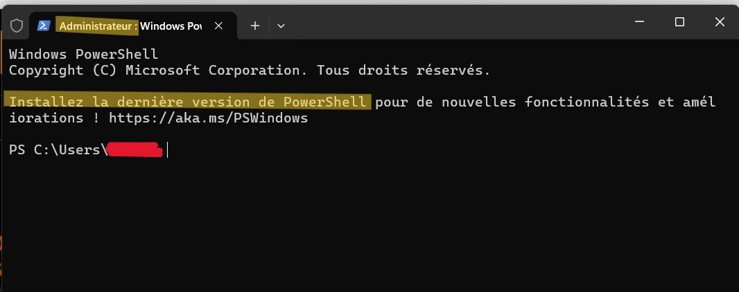 Mise à Jour PowerShell pour Windows Pro 11 - 24H2 - Microsoft Q&A