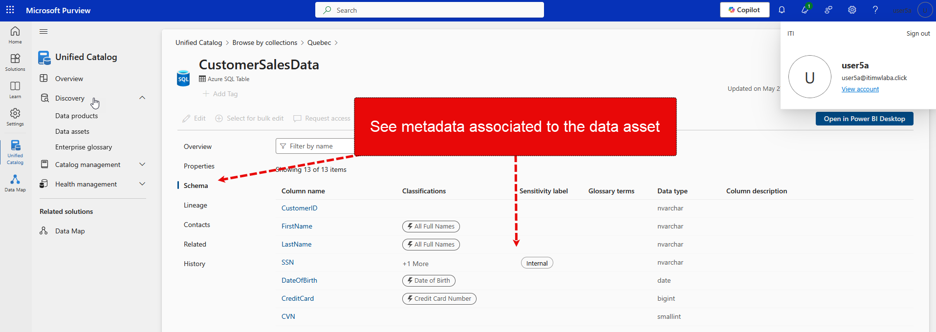 Purview Data Governance: Grant access to business consumers (regular users) to search in Unified ...