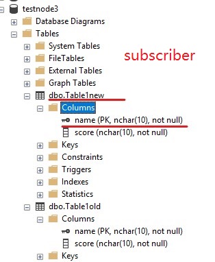 Missing Primary Key on Subscriber of Transaction Replication - Microsoft Q&A