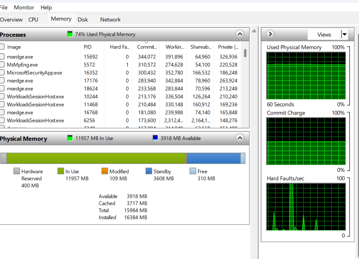 Is it normal that my ram is being almost maxed out like this ...