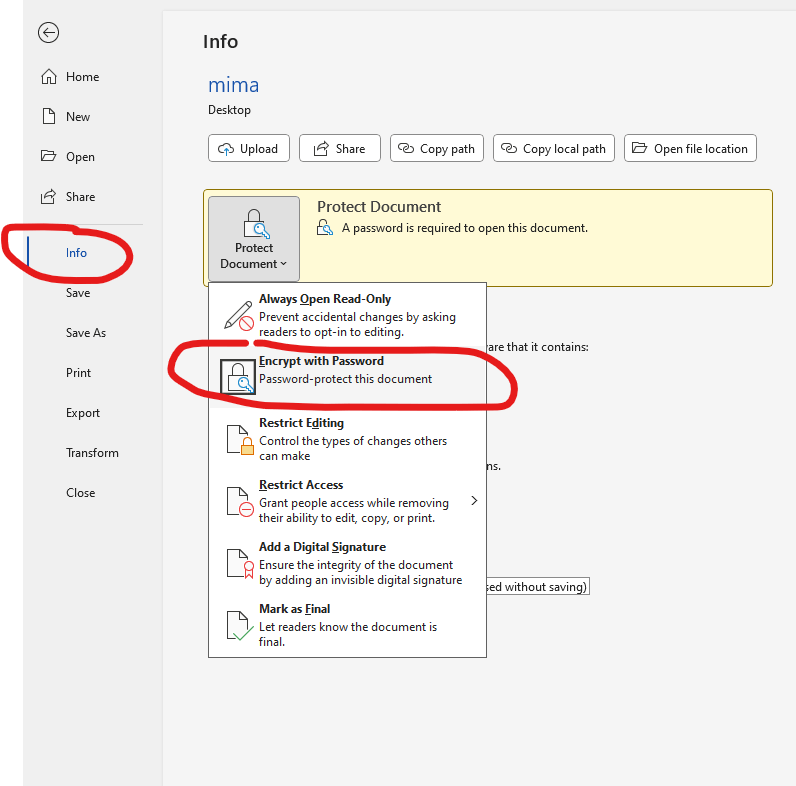 Word 2021 Cannot Password Protect Ms Word Document Microsoft Qanda 9188