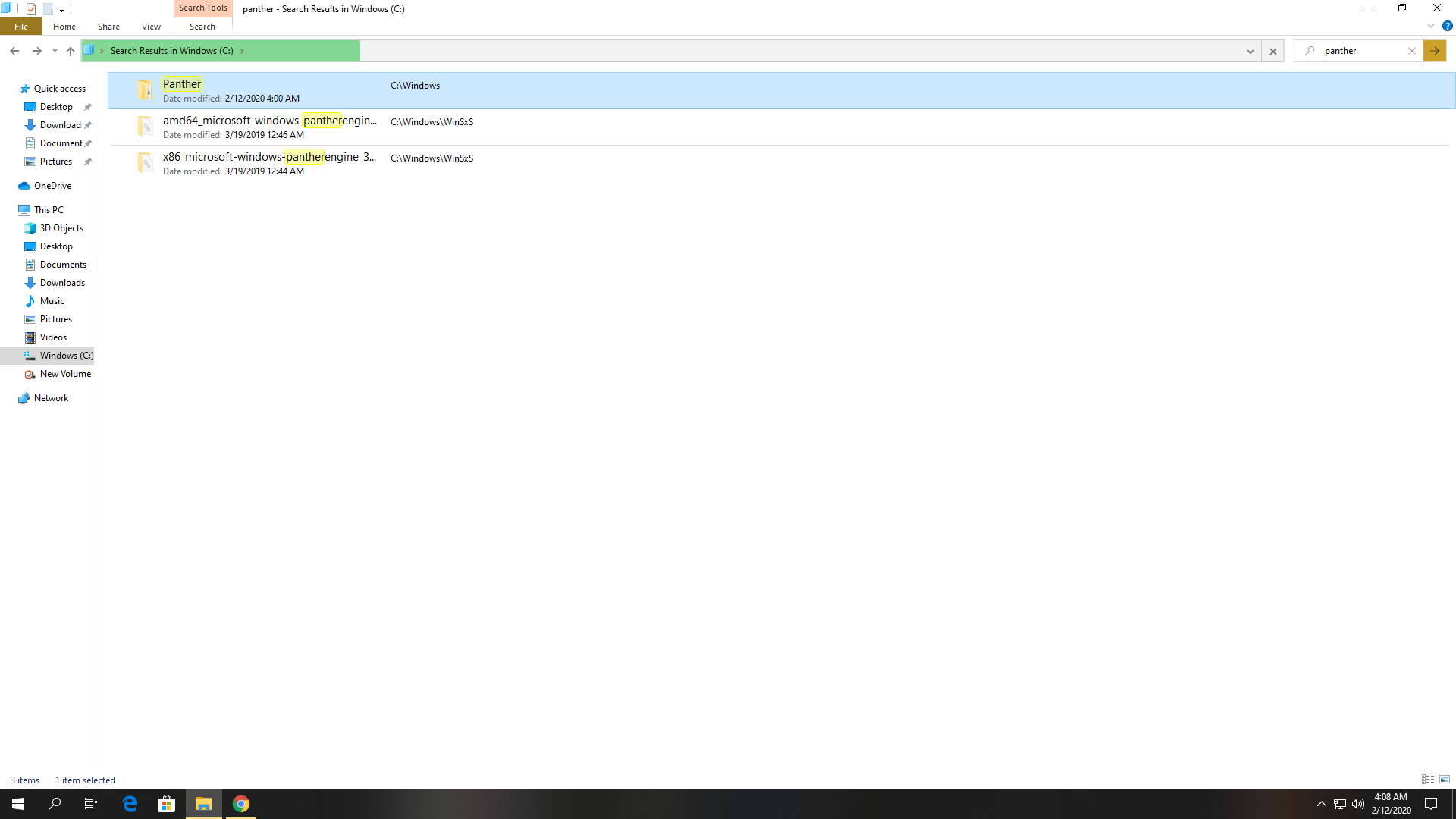 Can I delete the panther folder - Microsoft Q&A