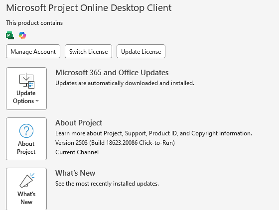 MS Project Issue - Can't Copy Paste - Microsoft Q&A