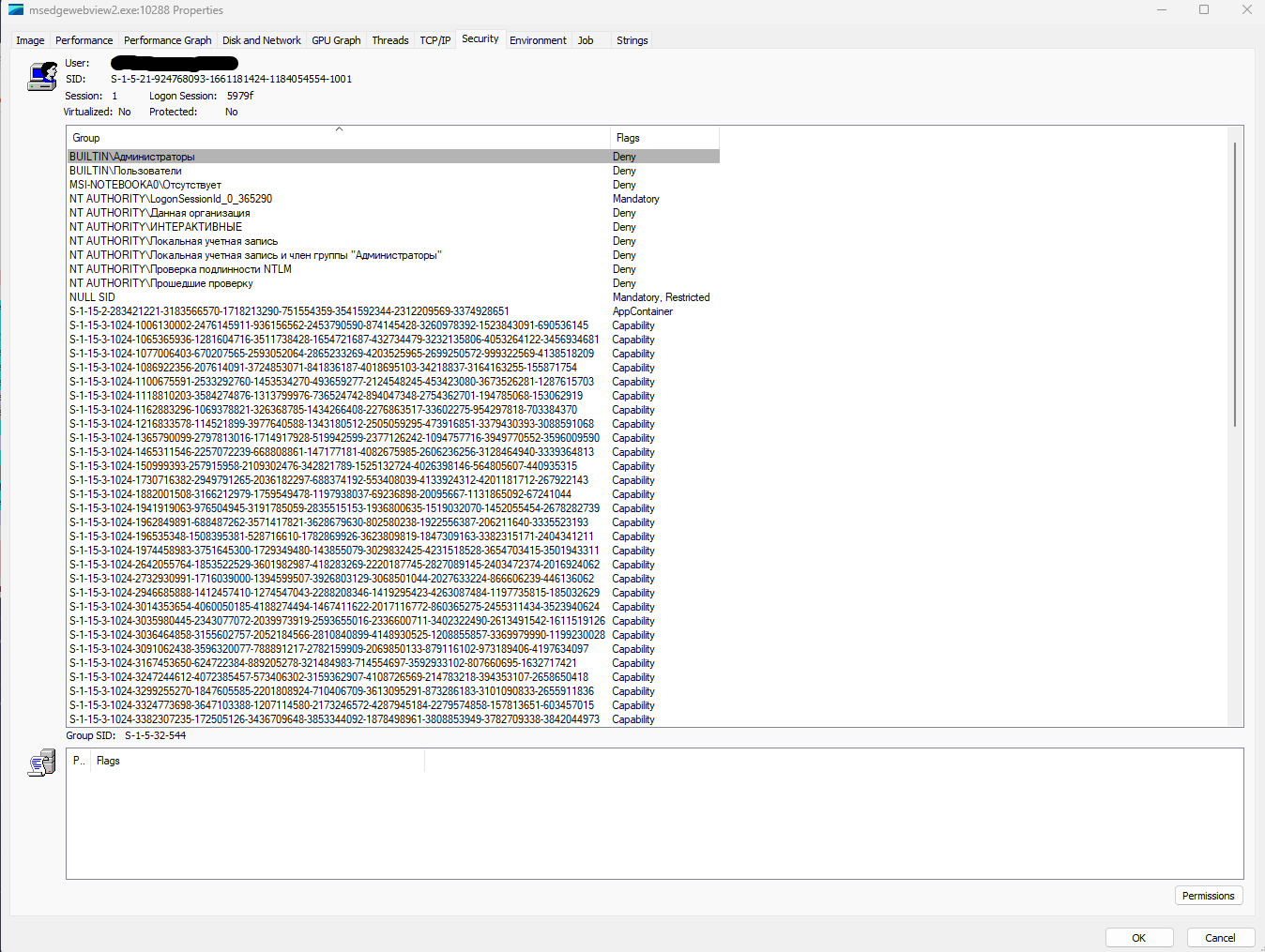 BUG Webwies2 search works outside of AppContainer - Microsoft Q&A