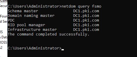 Transfer/Seize FSMO Roles - Microsoft Q&A
