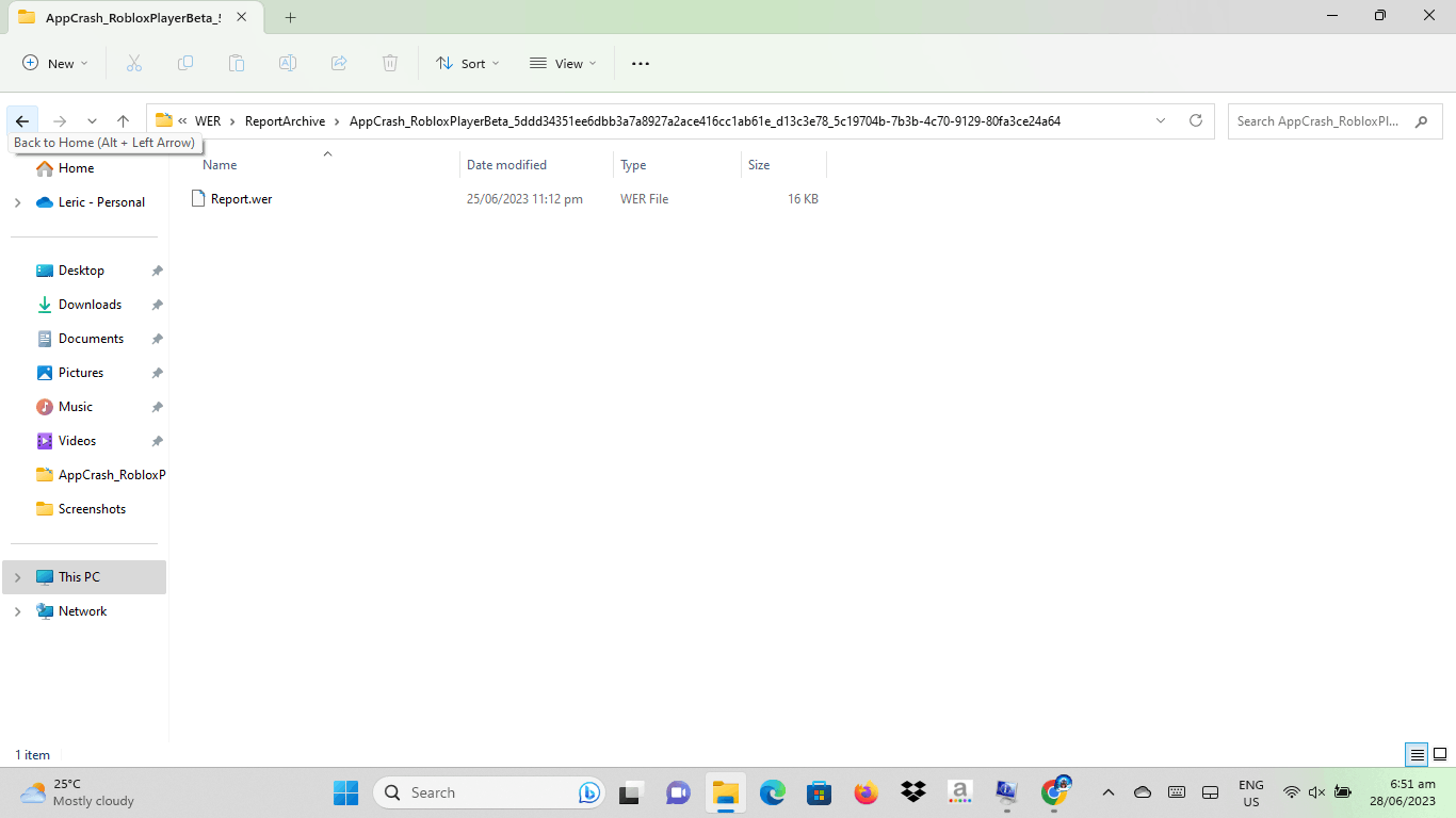 What is C:\ProgramData\Microsoft\Windows\WER\ReportArchive? - Microsoft Q&A