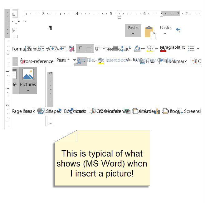 Picture Insert/Copy Paste Issue MS Office 2019 - Microsoft Q&A