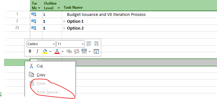 MS Project Issue - Can't Copy Paste - Microsoft Q&A