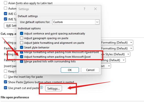 How can I get outlined/boxed text in Excel to copy and paste into Word ...