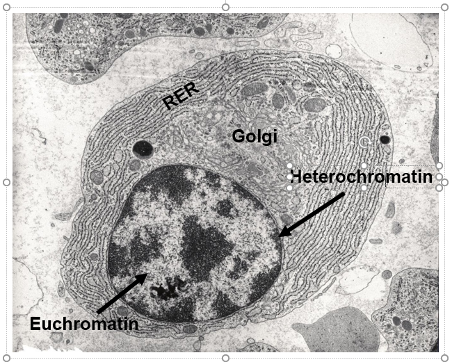 Keyboard Shortcuts for Group/Ungroup? - Microsoft Q&A