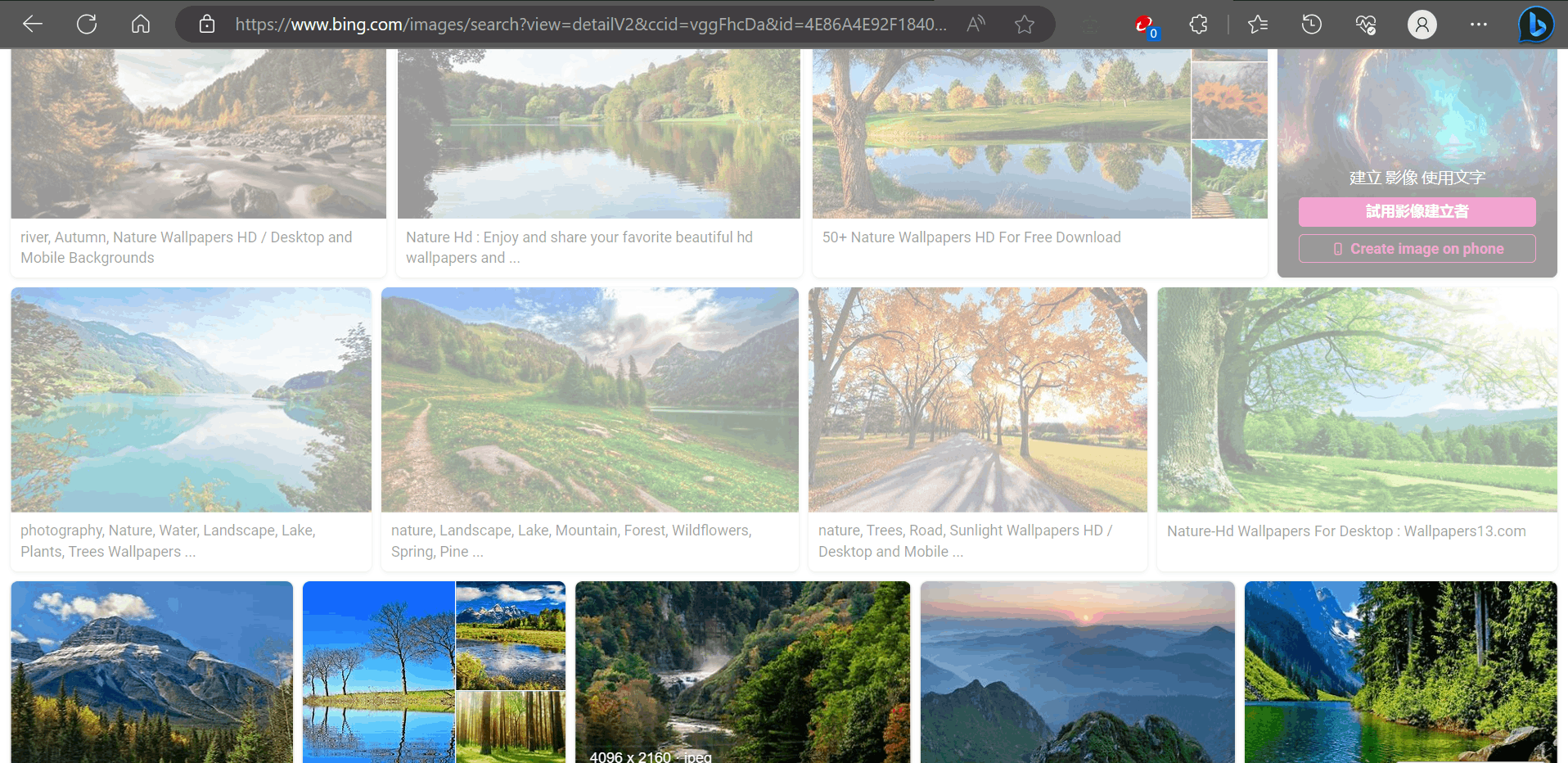 Bing search is not showing images properly - Microsoft Q&A