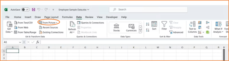 Data from Picture option not available - Microsoft Q&A