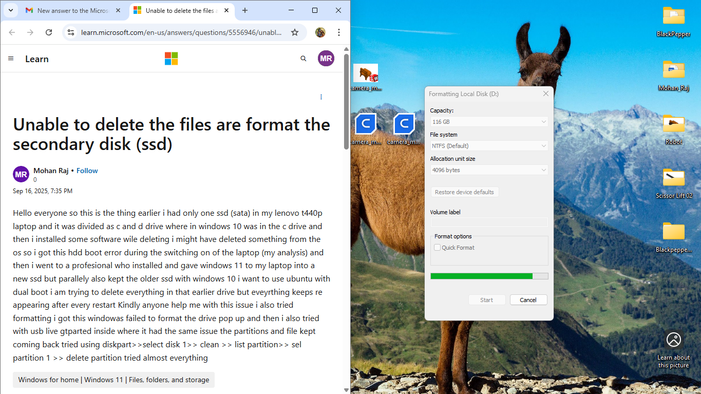 Unable to delete the files are format the secondary disk (ssd ...