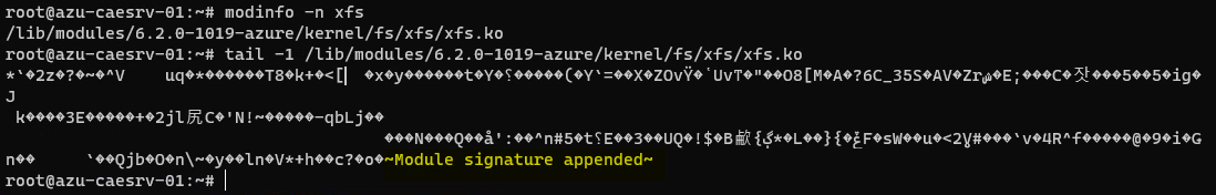 Azure VM with secure boot running Ubuntu Linux 22.04 cannot mount xfs ...