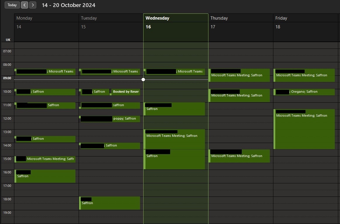 Outlook Resource Calendar shortening to 10 minutes - Microsoft Q&A