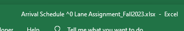 Strange Characters in Excel Title Bar - Microsoft Q&A