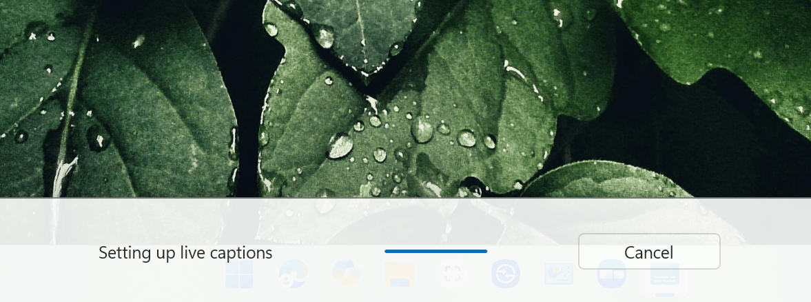 Live Caption with Translation is not working in Copilot+ PC ...