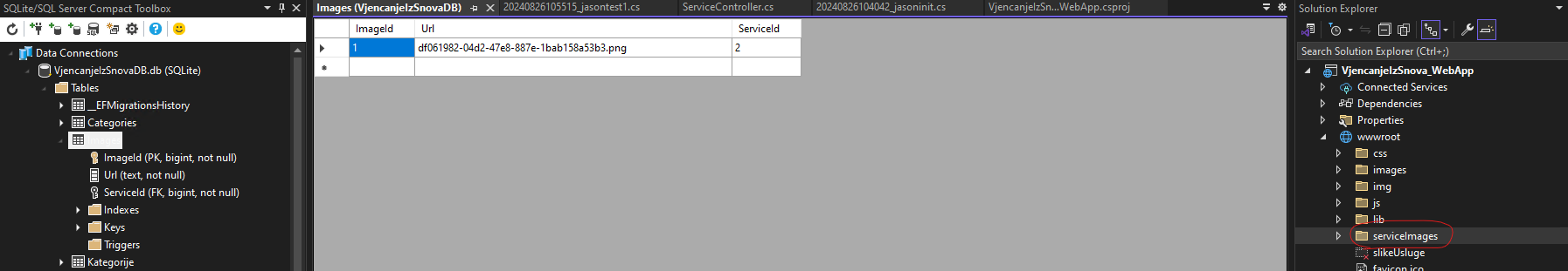 How Do I Resolve This Controller Issue When Creating New Instance Of A Class In My Web App