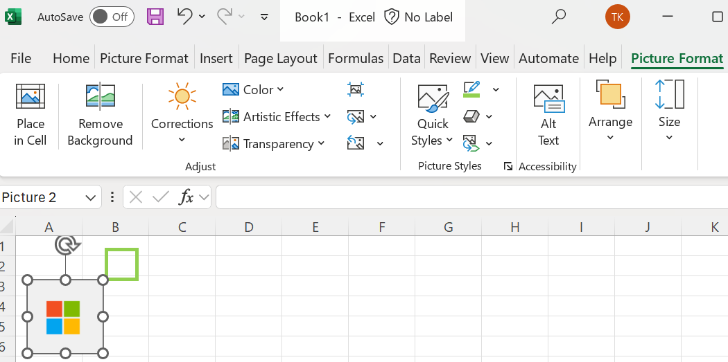 Excel Windows – “Place in Cell” paste option missing - Microsoft Q&A