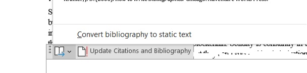 How to convert all citations into static citations? - Microsoft Q&A