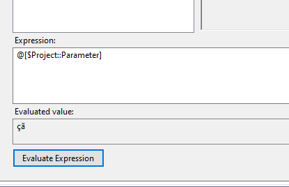 Localized characters in project parameter string throw error at run ...