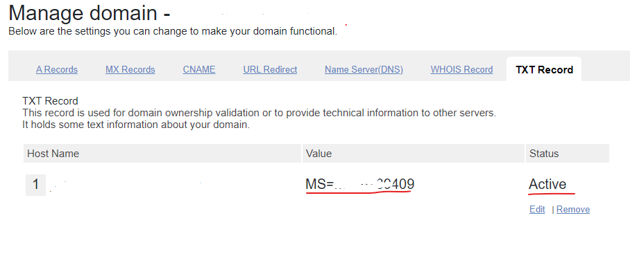 Added TX entries to our DNS Server on our domain provider portal, but still web app is not ...