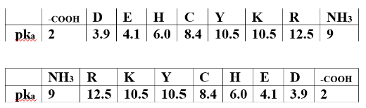 Table Borders Not Showing in Microsoft Word - Microsoft Q&A