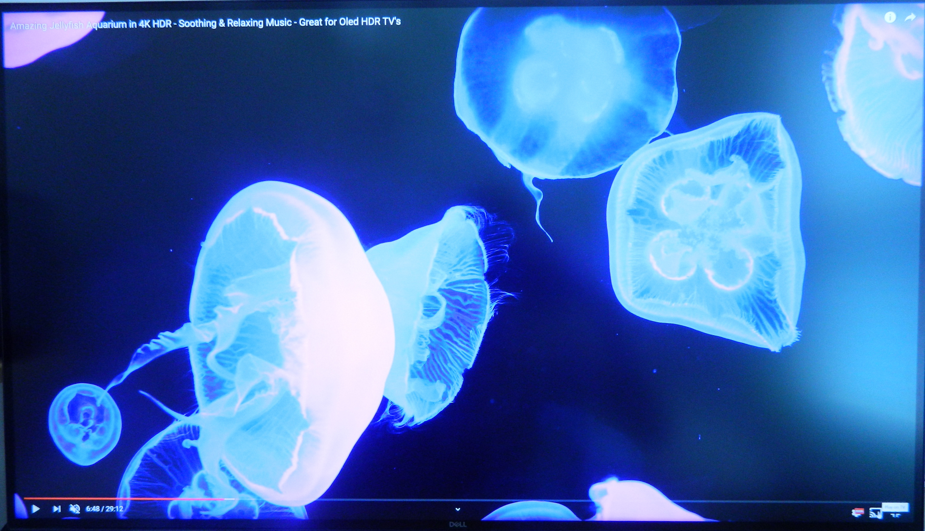 Why Is HDR Video Quality Distorted in Full Screen (Faded/Gray Scale ...
