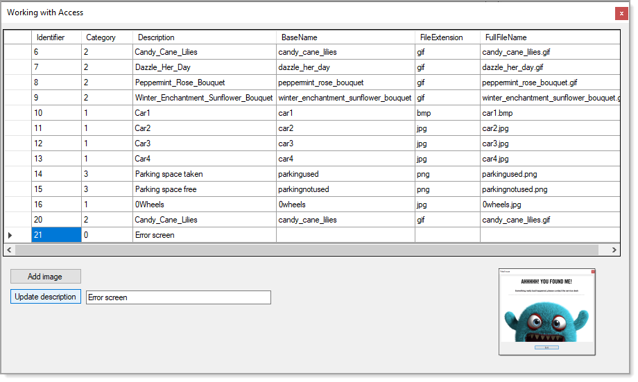 Problem Retrieving The Image After Updating The Access Database System Argumentexception