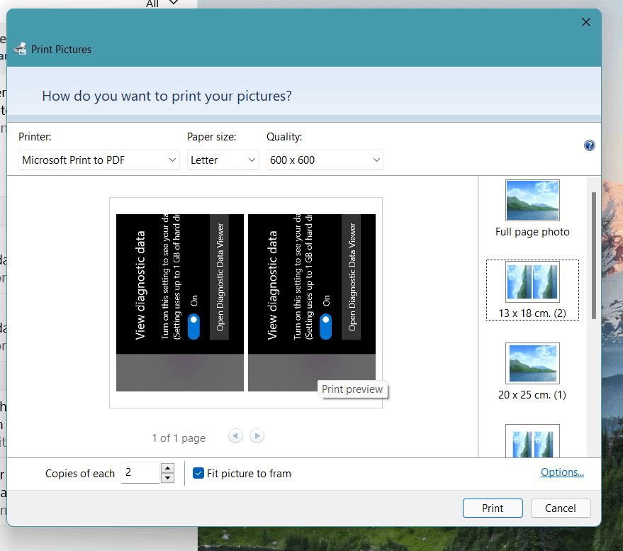 Print Layout in Photos App - Microsoft Q&A