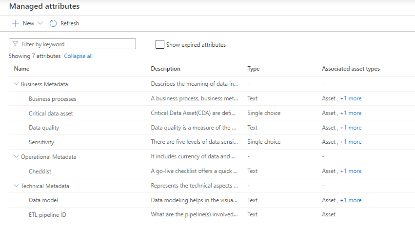 How to get Managed Attributes field details from Purview from their ...