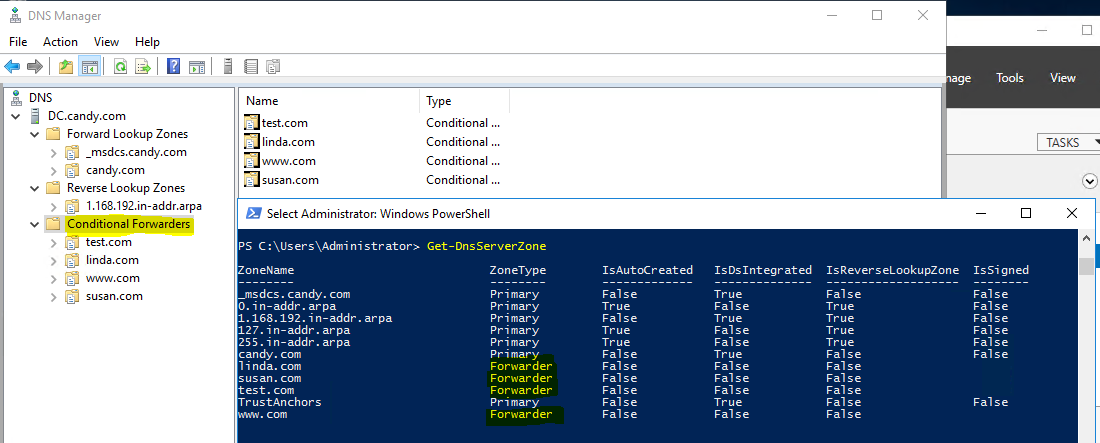 How to delete domain names of Windows server DNS conditional forwarders ...