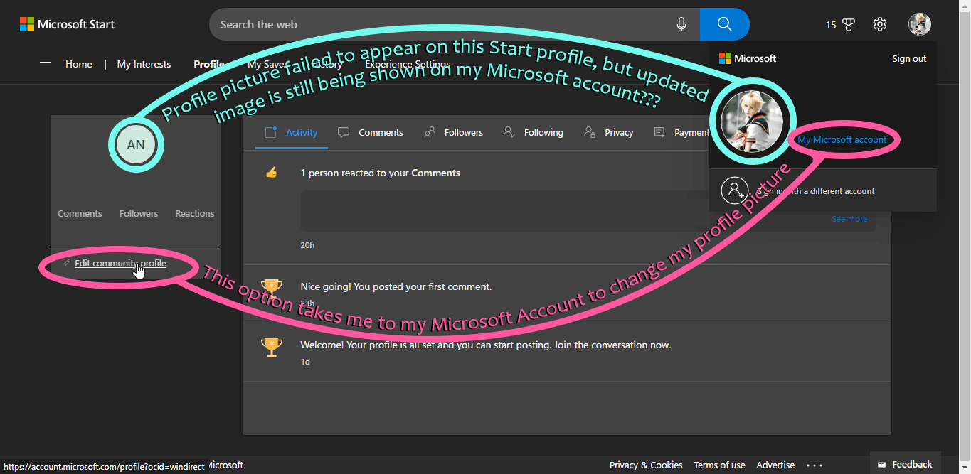 Why the profile picture on my Microsoft Start/MSN community profile ...