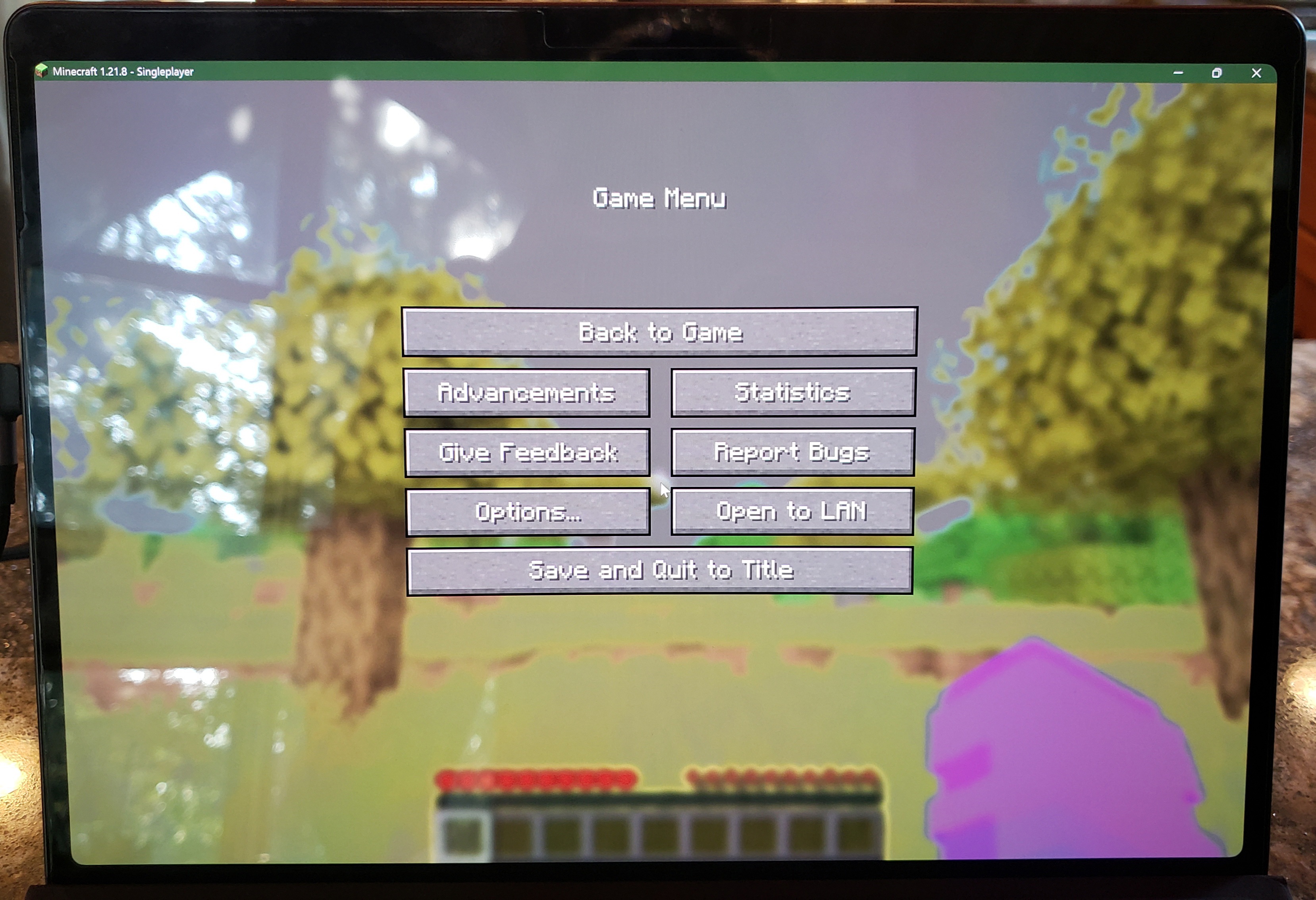 Why is the screen glitched in Minecraft? - Microsoft Q&A