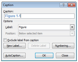 Underline the caption label - Microsoft Q&A