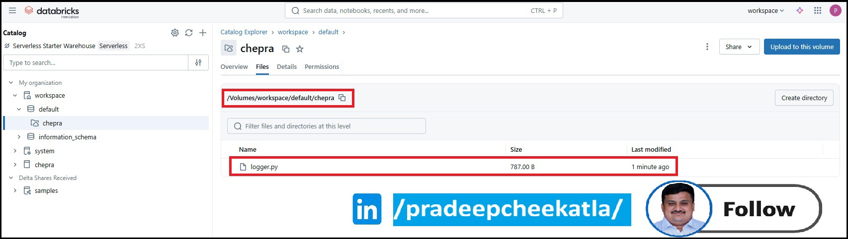 Cannot Save Python Logger Output to Unity Catalog Volume in Databricks ...