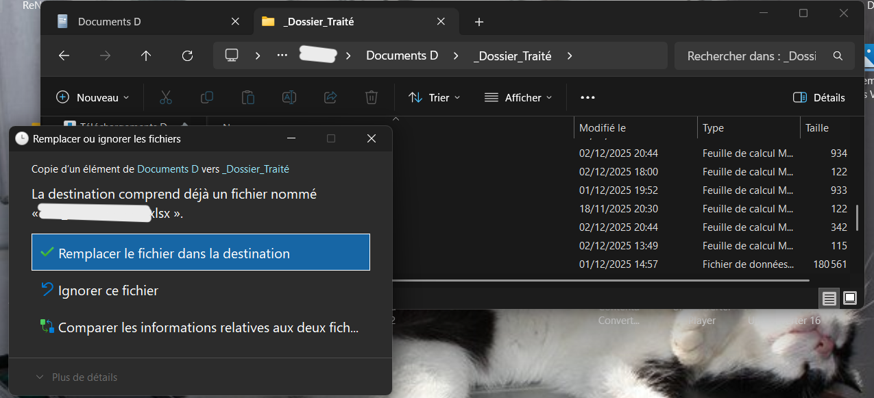 Message Windows 11 Pro 25H2 blanc sur un PC et noir sur un autre PC ...
