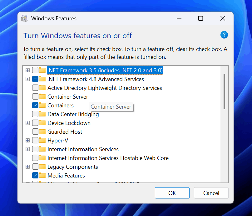 What is the new "Container Server" that is came with 24H2? - Microsoft Q&A