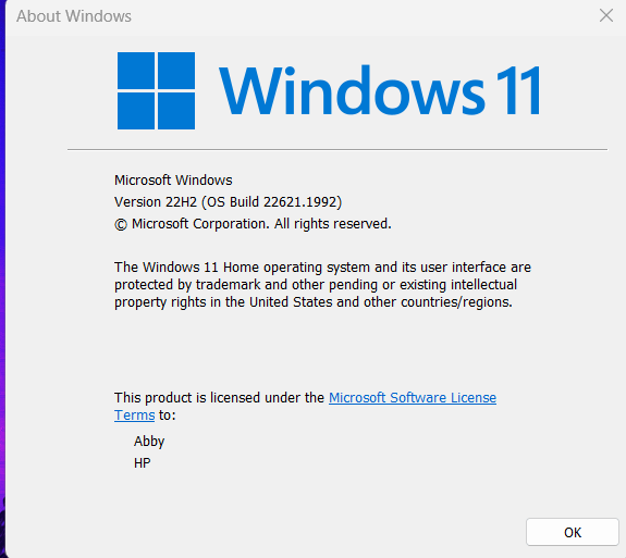 2024-10 Cumulative Update for Windows 11 Version 22H2 for x64-based ...