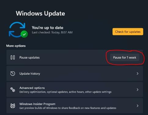 Disable Windows Update Service - Microsoft Q&A