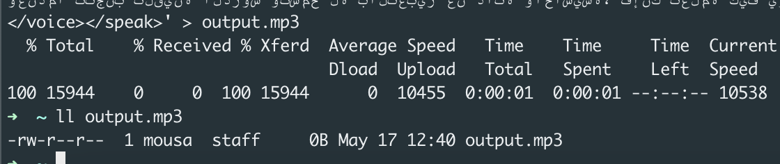 How to get output from tts long audio API it return success but without ...
