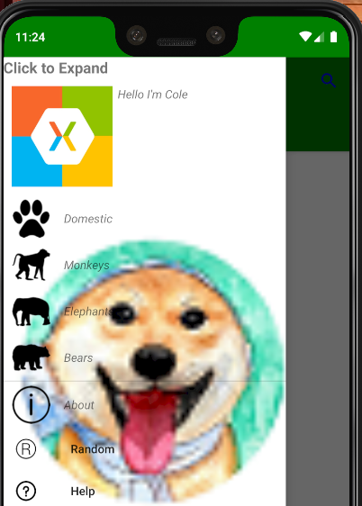 Is it possible to use Expander in Shell Flyout? - Microsoft Q&A