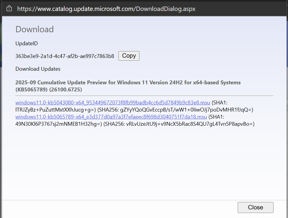 I am unable to update 2025-09 Cumulative Update Preview for Windows 11 ...