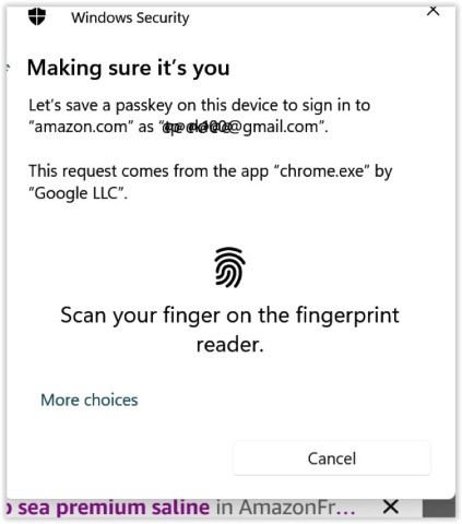 Why is my KENSINGTON Fingerprint Scanner Not Working Properly on Win11 ...