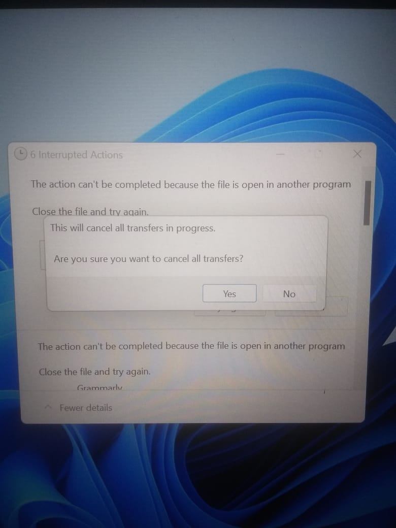 How to resolve interrupted error problems in windows 11? Also ...