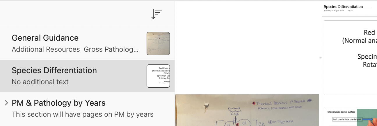 How can I set onenote page icon do a different image that is not the ...