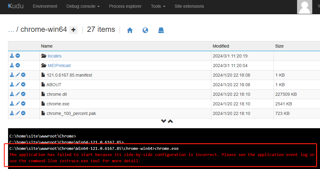 can't run a exe program in web app's console - Microsoft Q&A